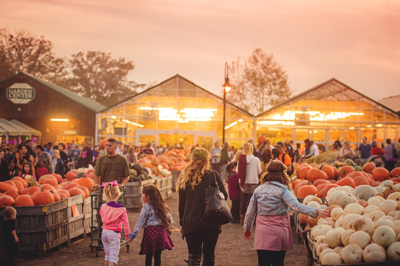 Experiencing Pennsylvania's Seasons: An Insight to Festivals and ...